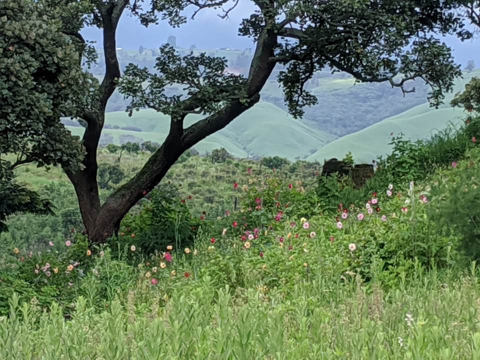Pictorial Tour of the Chimala Mission – Chimala Mission