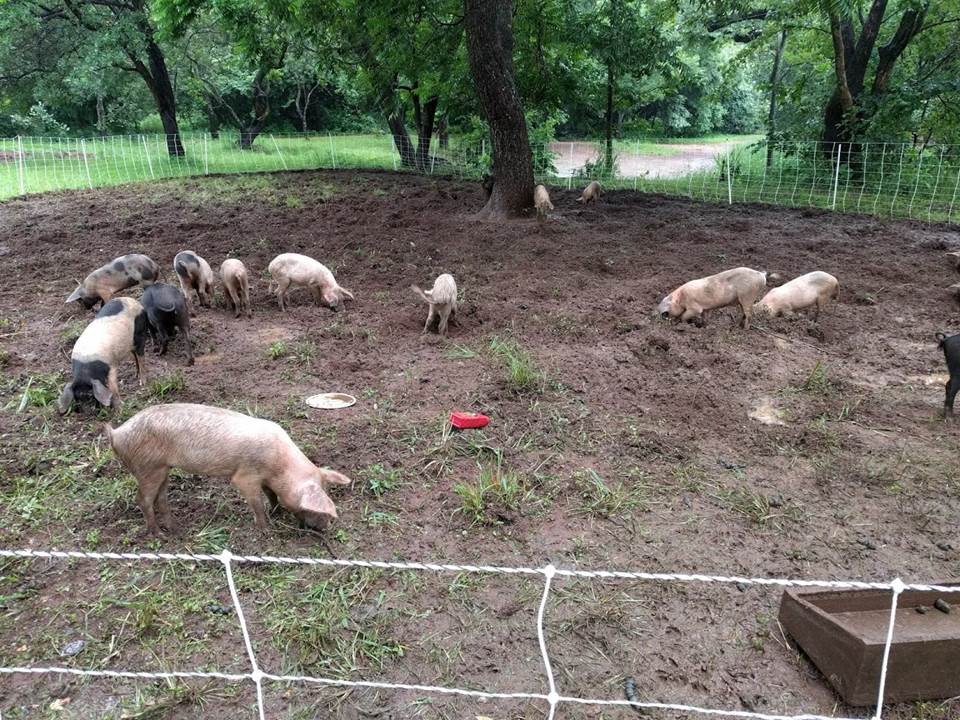 Pictorial Tour of the Chimala Mission – Chimala Mission