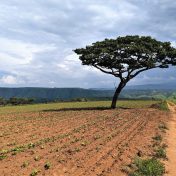 Chimala Mission – Working for the Lord in Tanzania, Africa