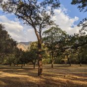Chimala Mission – Working for the Lord in Tanzania, Africa